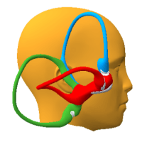 BPPV Viewer – BPPV Visualization with a 3D Model for Study and Teaching ...